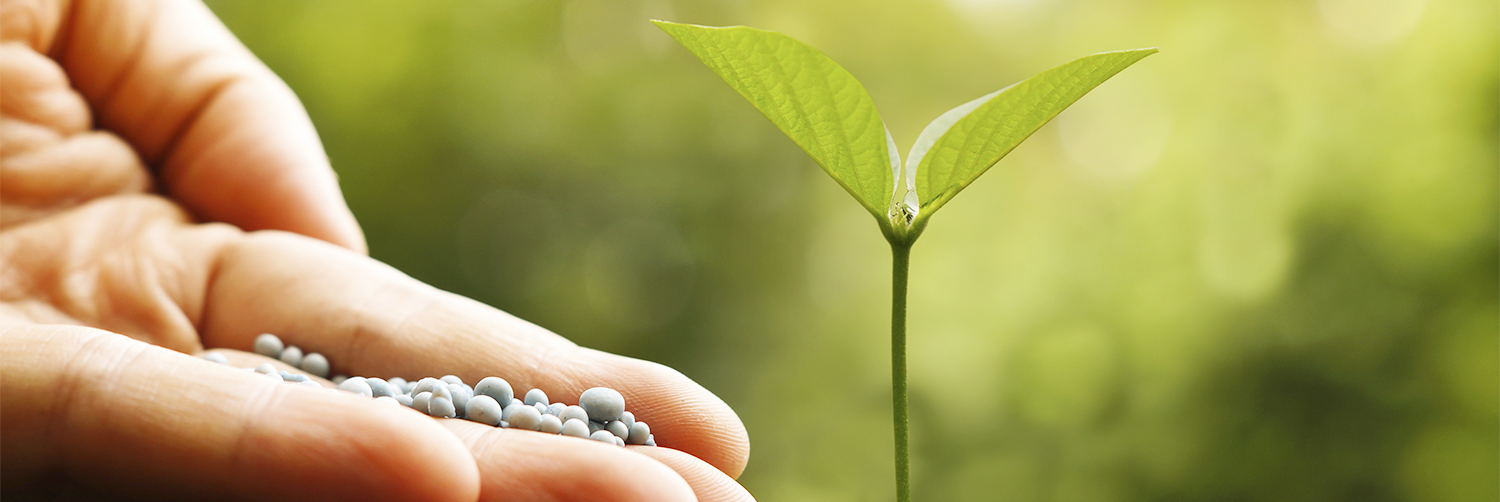 Amazon.com: GARDENS ALIVE!: FERTILIZERS