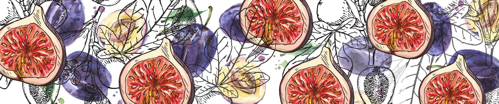 Amazon.com: GO-SO-CLEAN