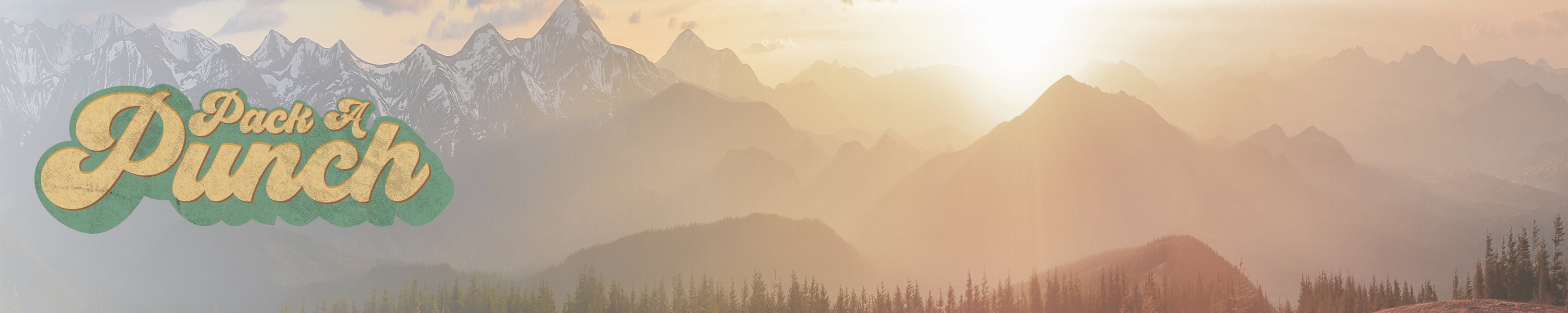 Amazon.com: Pack A Punch