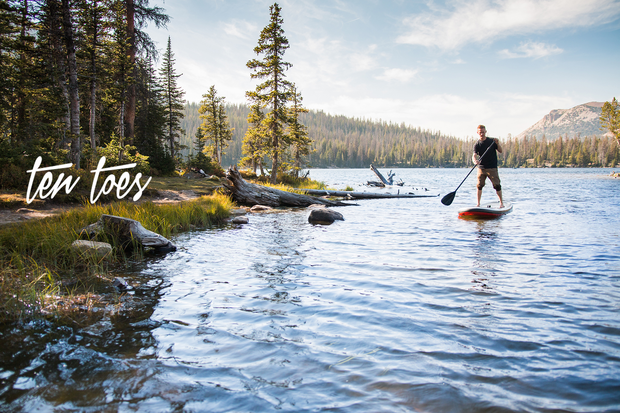 Amazon.com: Ten Toes Board Emporium: Skateboards