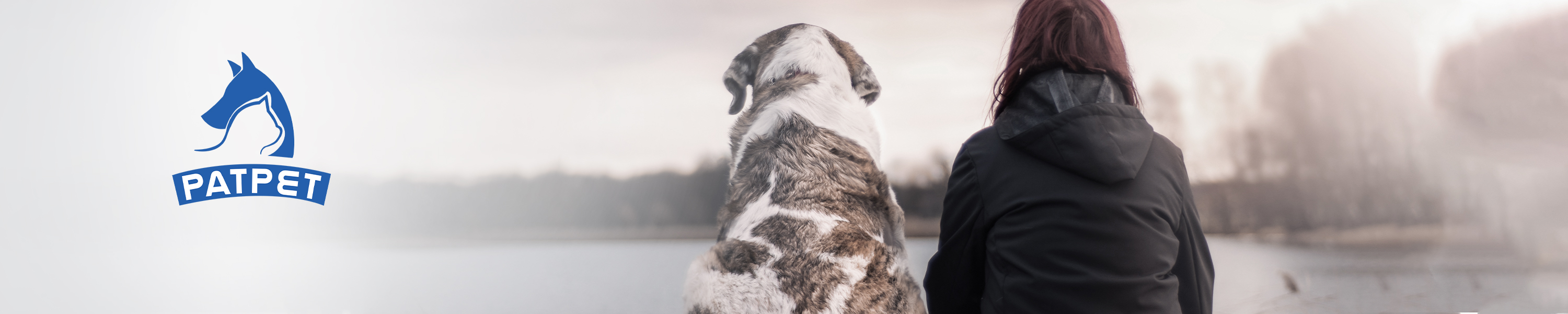 Amazon.com: PATPET: P Collar 320