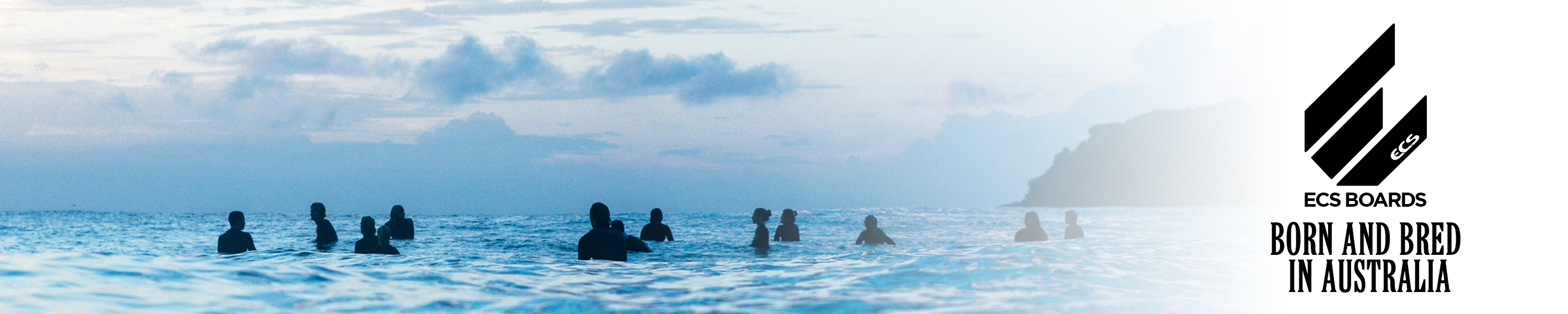 Amazon.com: ECS Boards