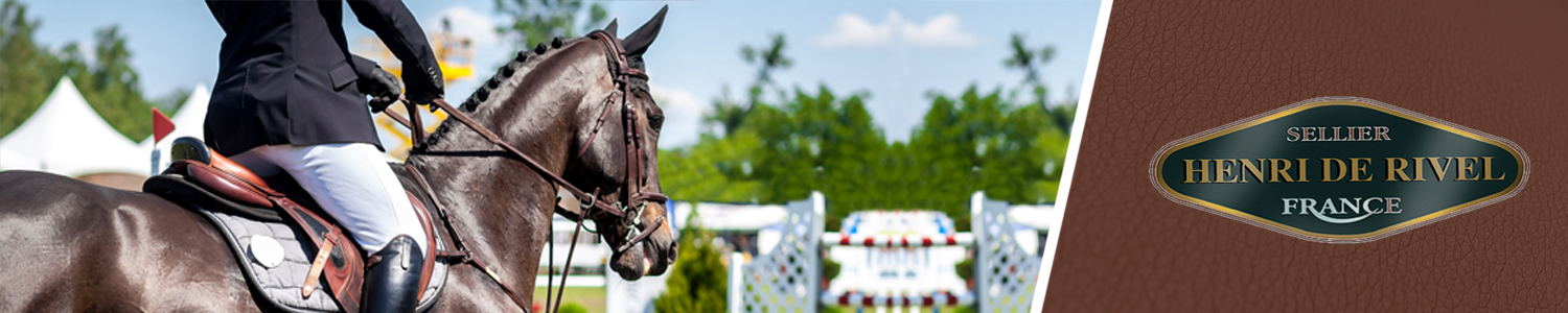 Amazon.com: Henri de Rivel: Pony Saddle