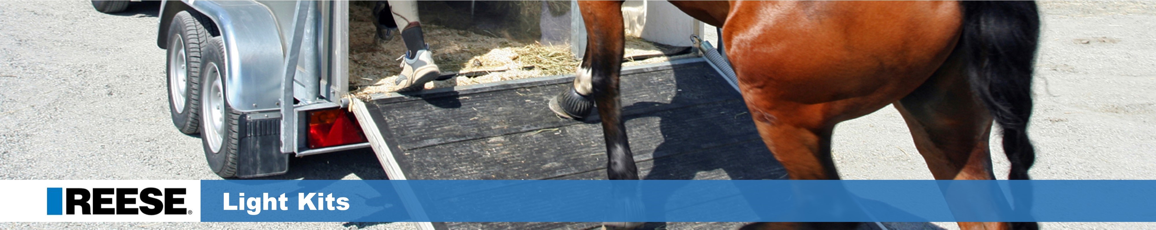 Amazon.com: Reese: Light Kits