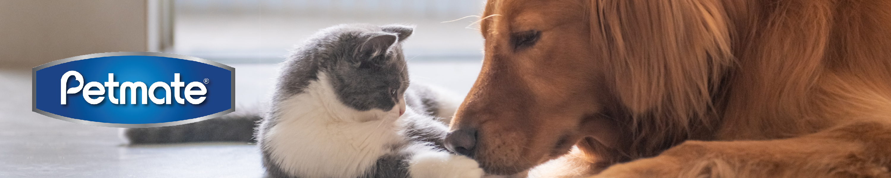 Amazon.com.mx: Petmate