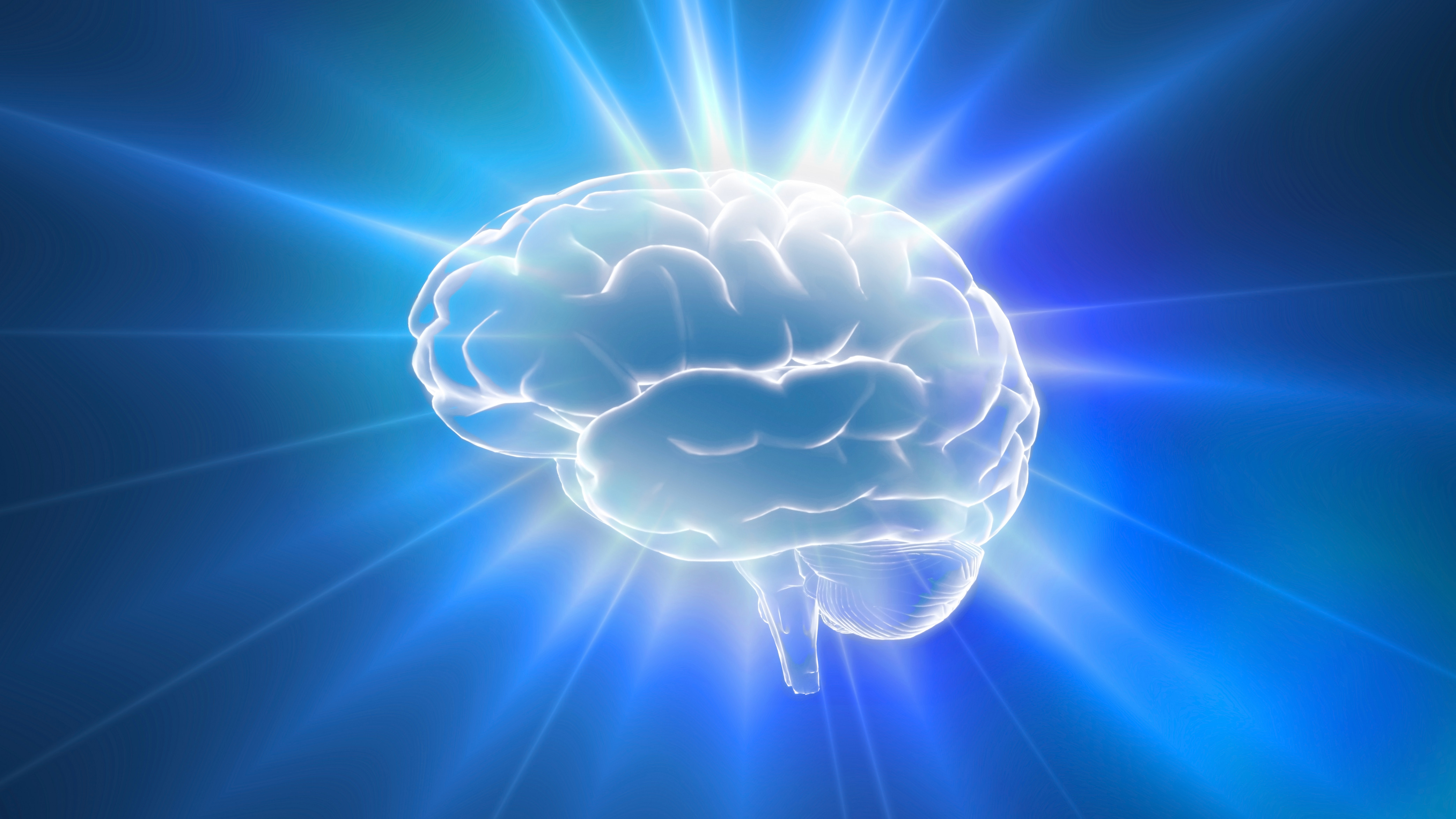 Amazon.co.uk: Pharmis