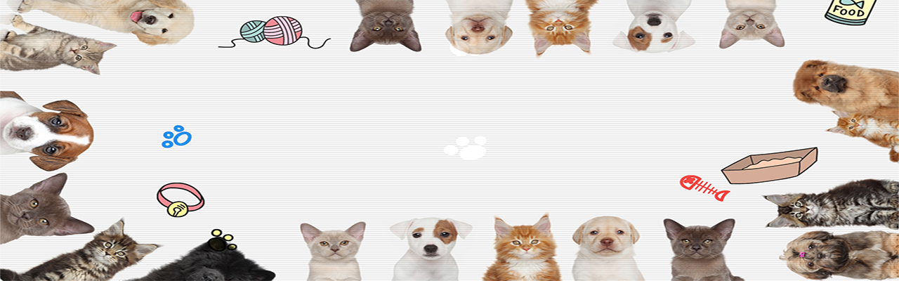 Amazon.co.uk: MEKEET