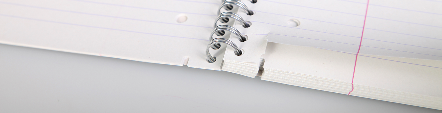 Amazon.co.uk: Calligraphe: Exercise Book Protectors