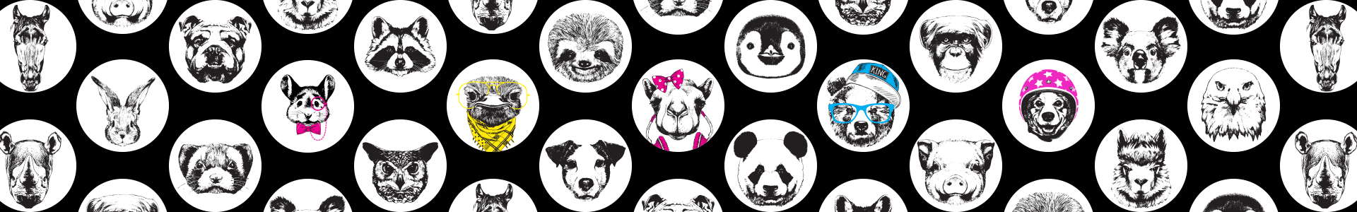 Amazon.ca: Springhill: Digital Opaque Colors