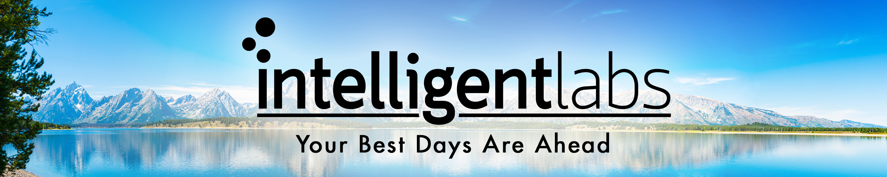 Amazon.ca: Intelligent Labs