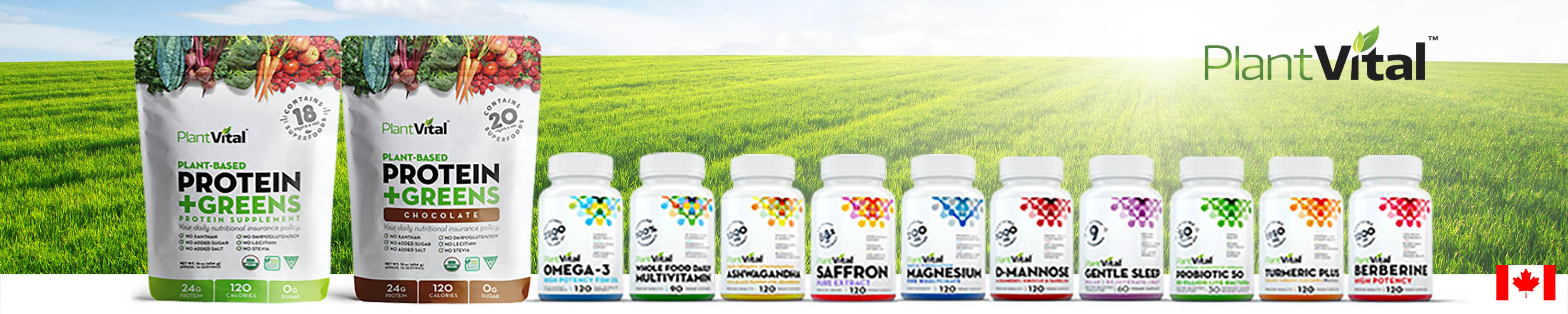 Amazon.com: PlantVital: protein+greens