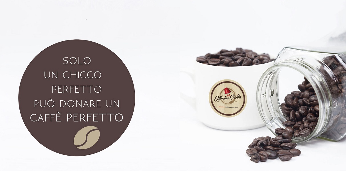 Amazon.it: OFFICINA DELLA CIALDA - L'EMOZIONE DENTRO AD UNA CIALDA ...