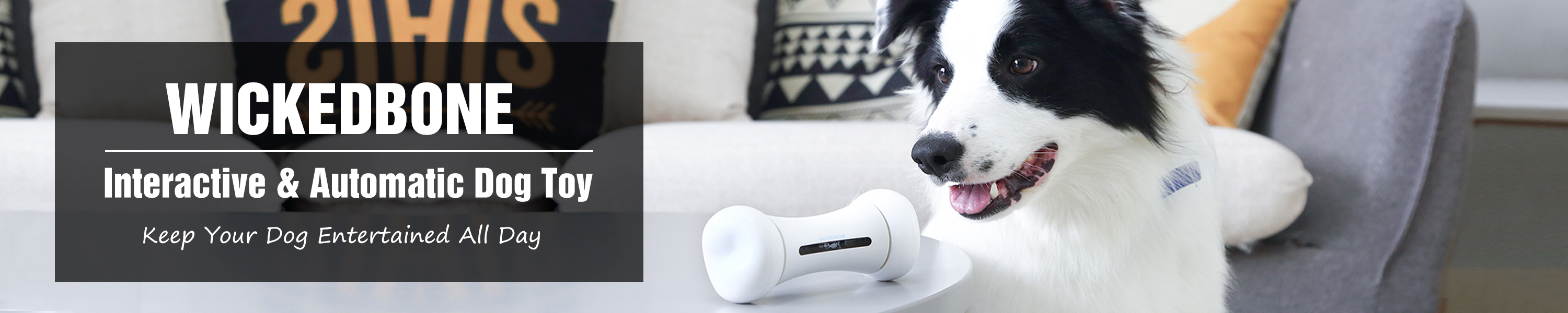 Amazon.com: Wickedbone