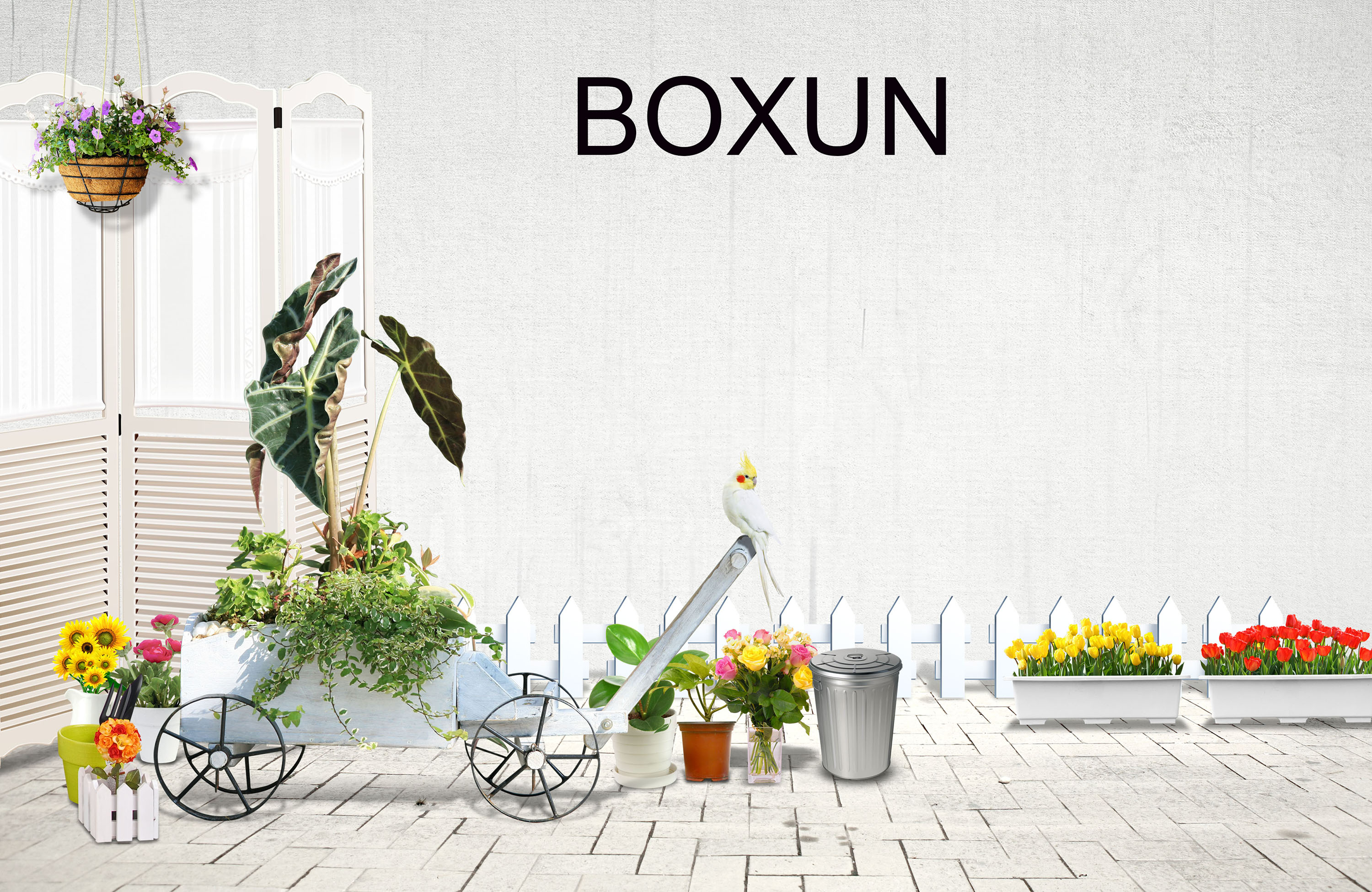 Amazon.com: BOXUN