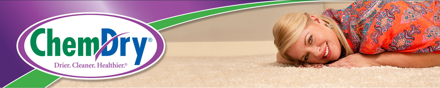 Amazon.com: Chem-Dry