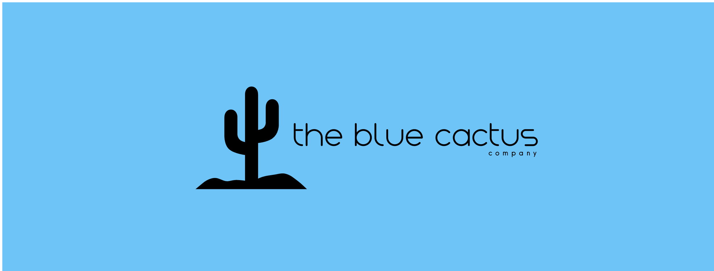 Amazon.com: The Blue Cactus Company