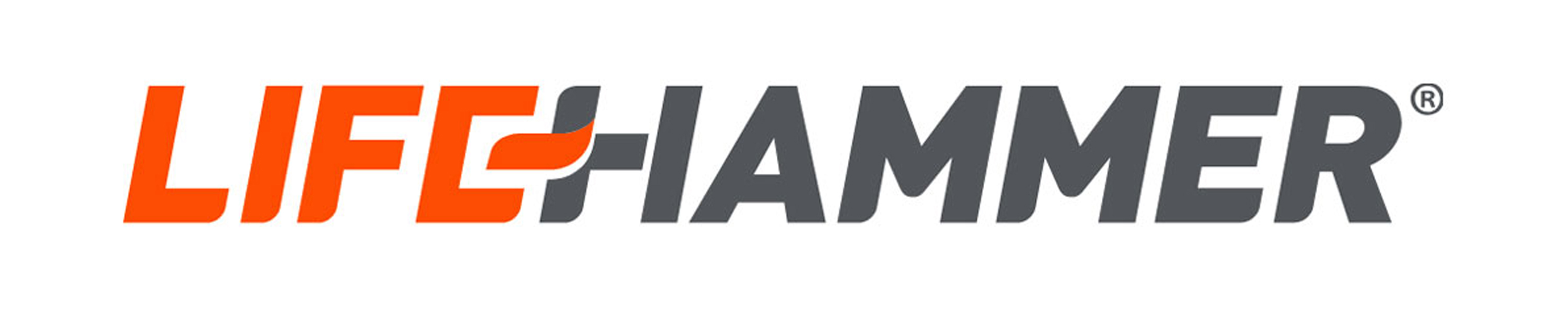 Amazon.com: Lifehammer