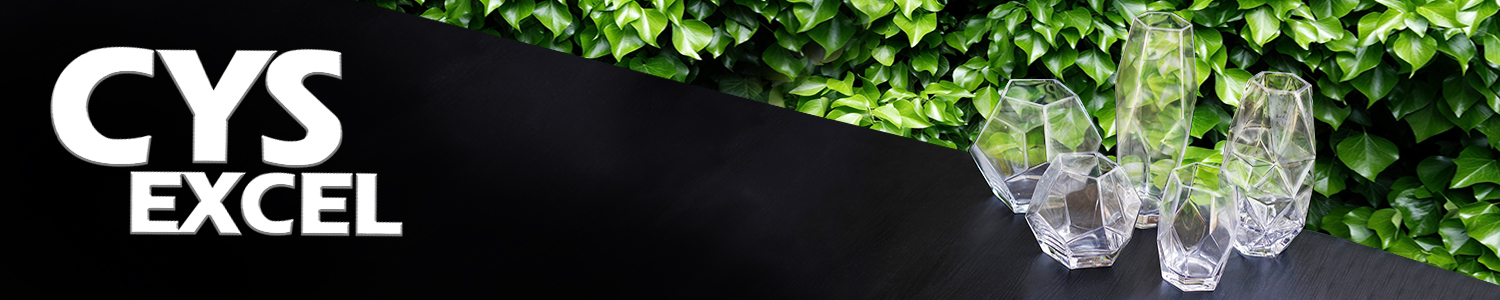 Amazon.com: CYS EXCEL®: Cylinder Vase