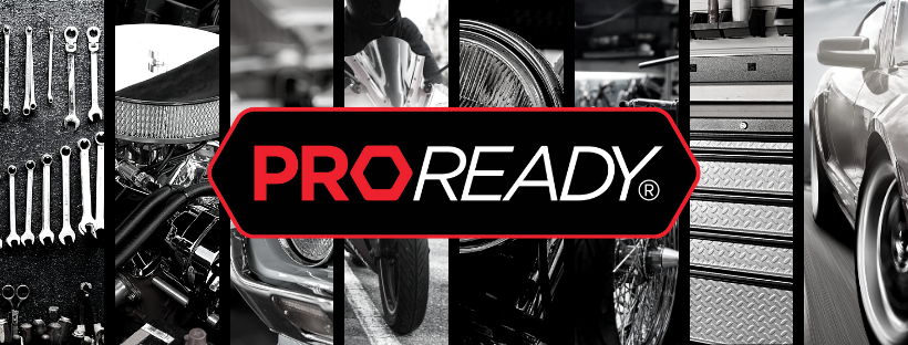 Amazon.com: PROREADY