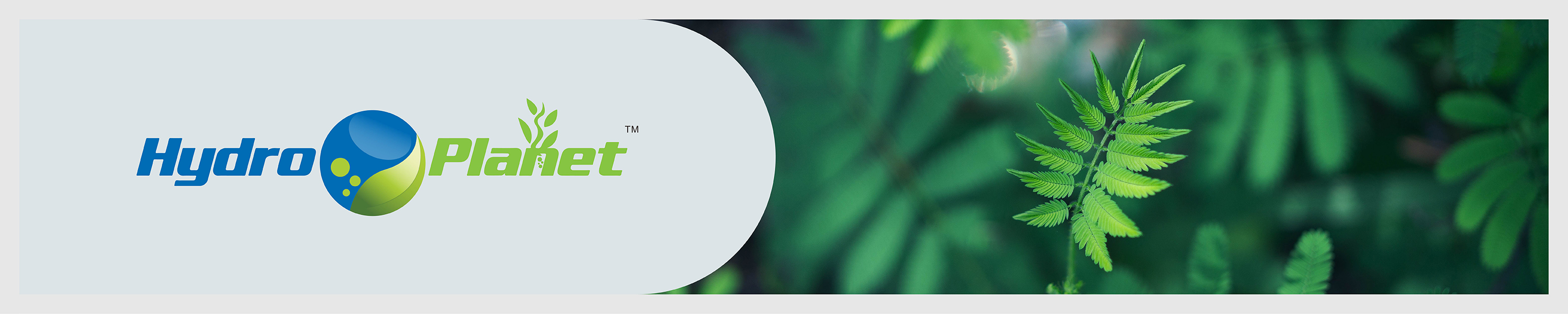 Amazon.com: Hydroplanet