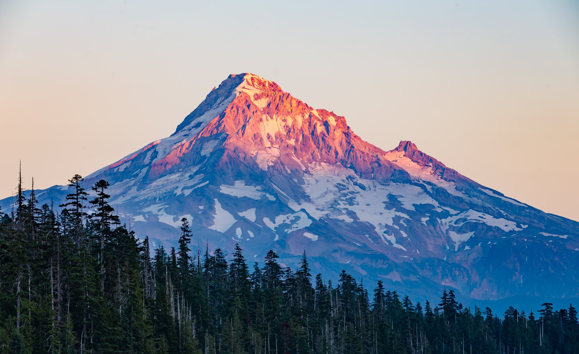 Amazon.com: Elevation Lab: Under-Desk
