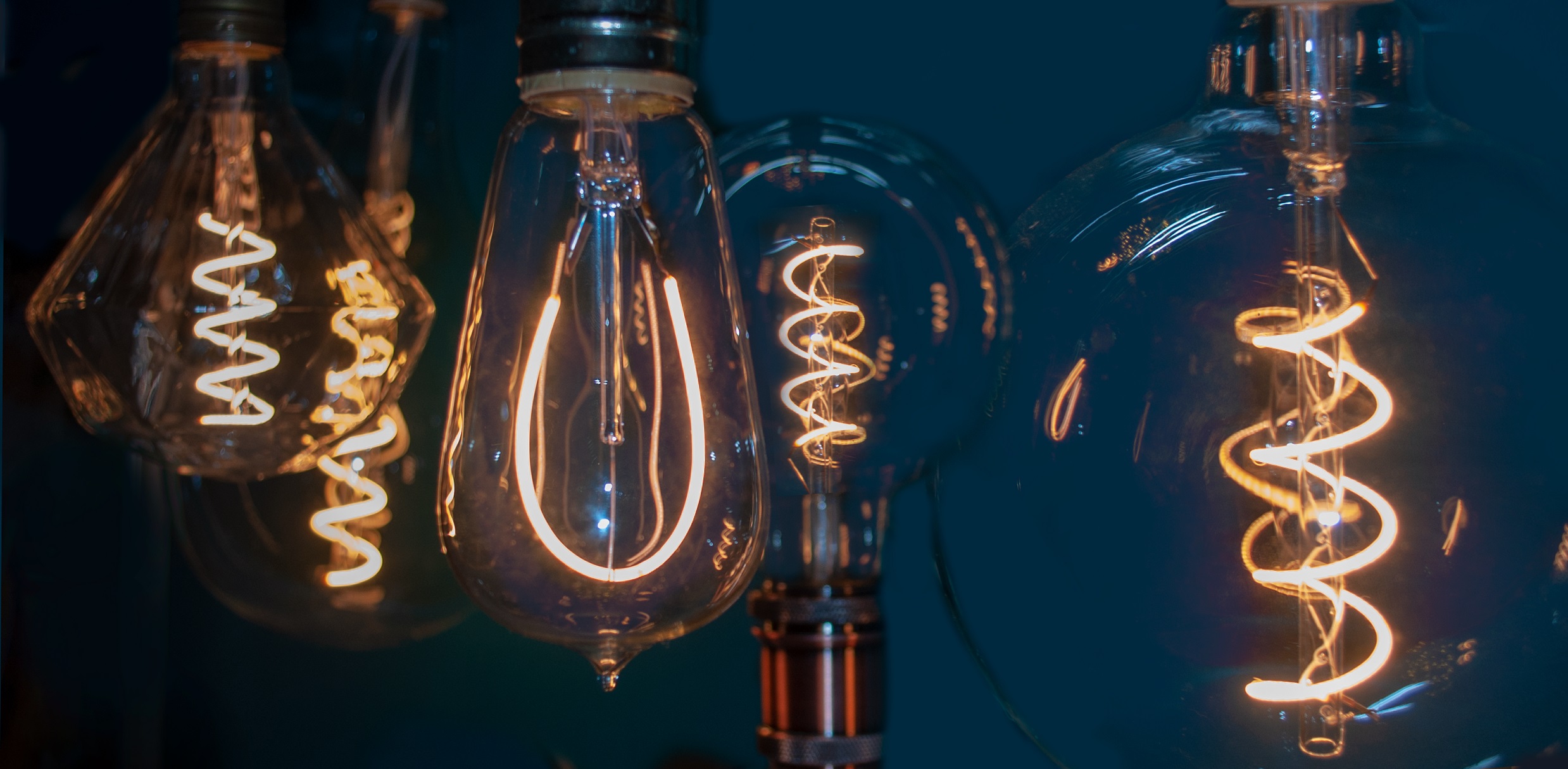 Amazon.com: Hometown Evolution, Inc.: LED Edison Bulbs