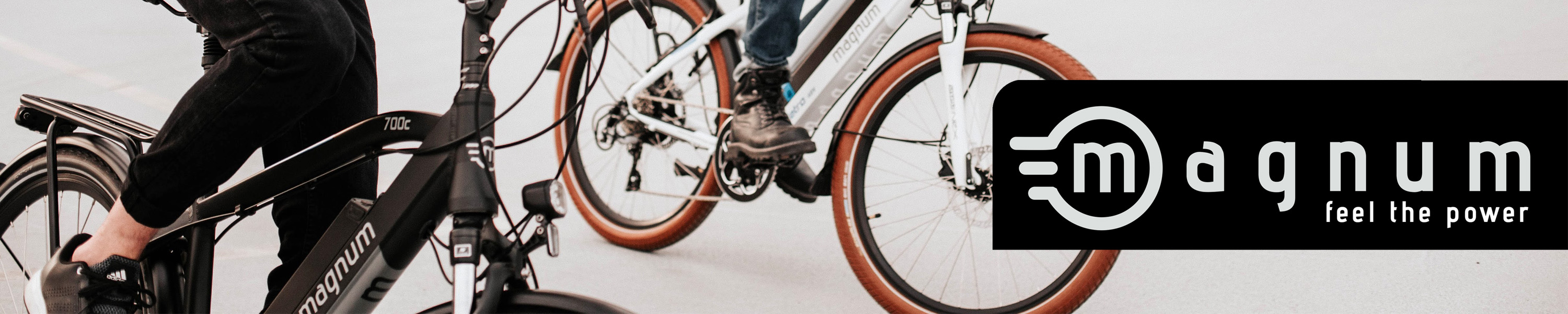 Amazon.com: Magnum Bikes: Bike Locks