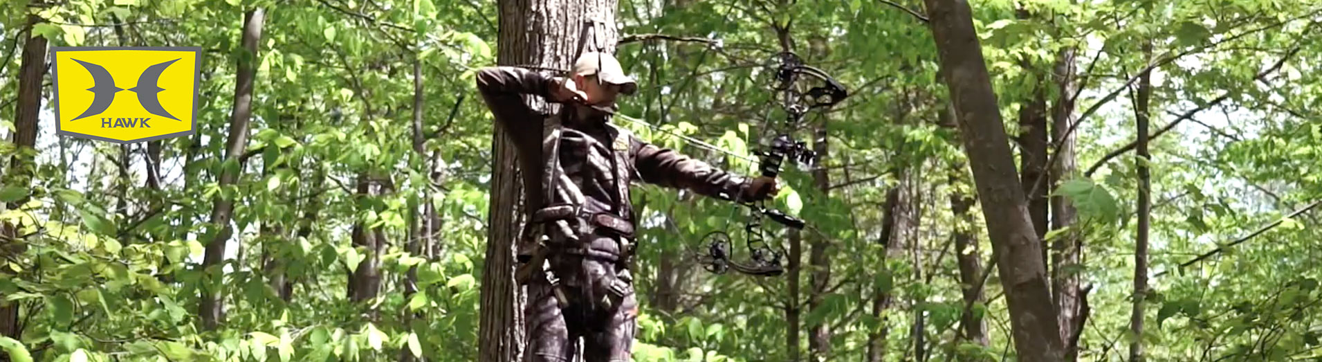 Amazon.com: Hawk: Chairs and Seats