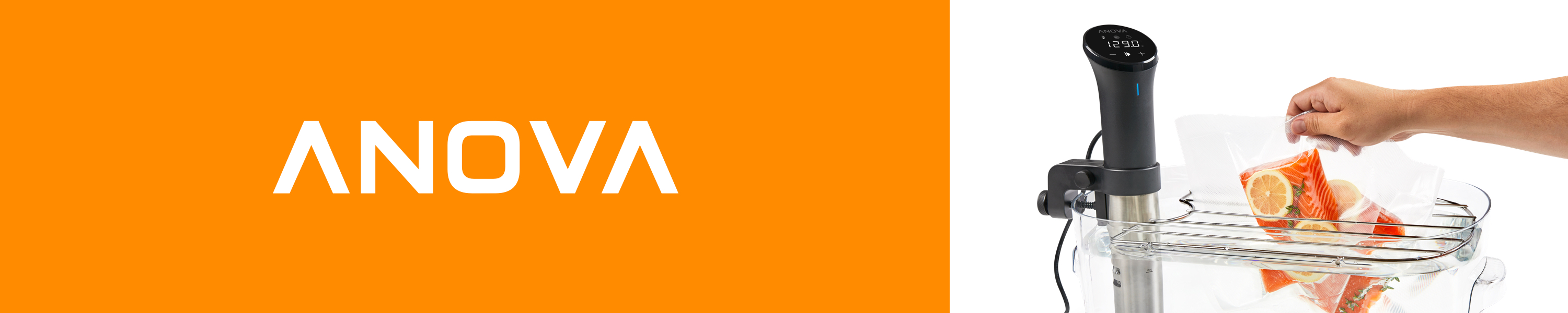 Amazon.com: Anova