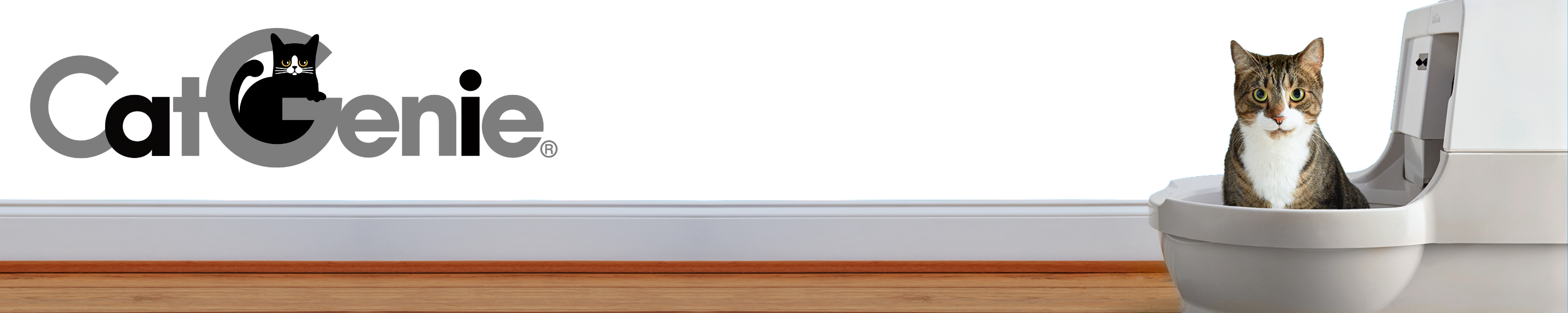 Amazon.com: CatGenie