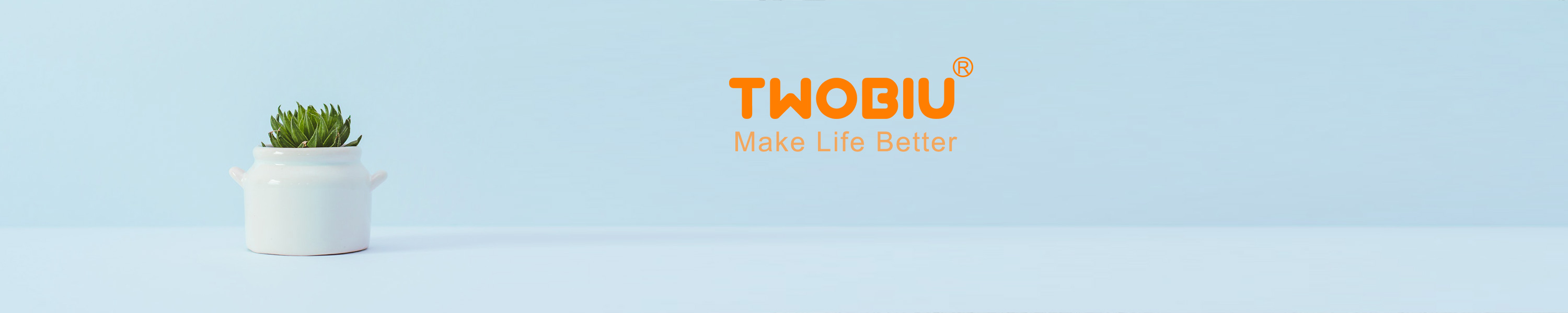 Amazon.com: TWOBIU