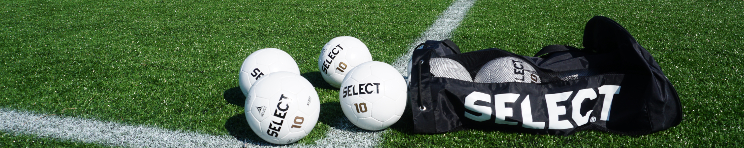 Amazon.com: Select: Ball Bags