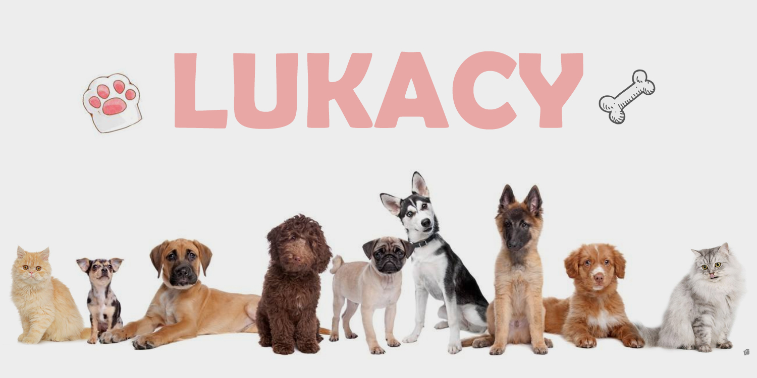 Amazon.com: LUKACY
