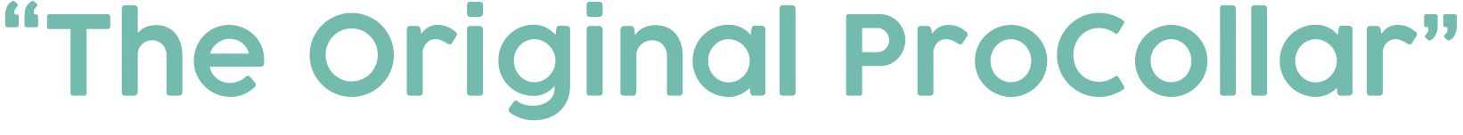 Amazon.com: ProCollar