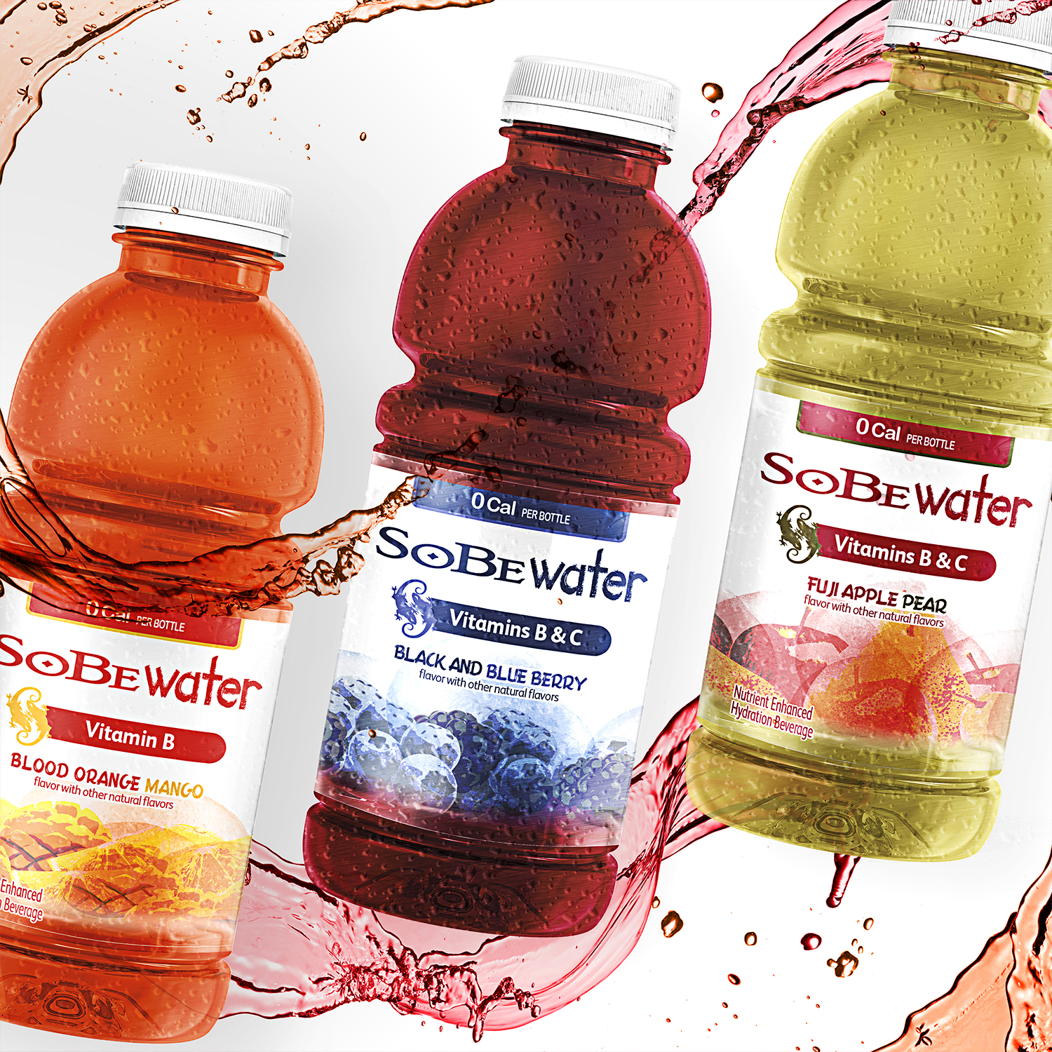 Amazon.com: Sobe Water