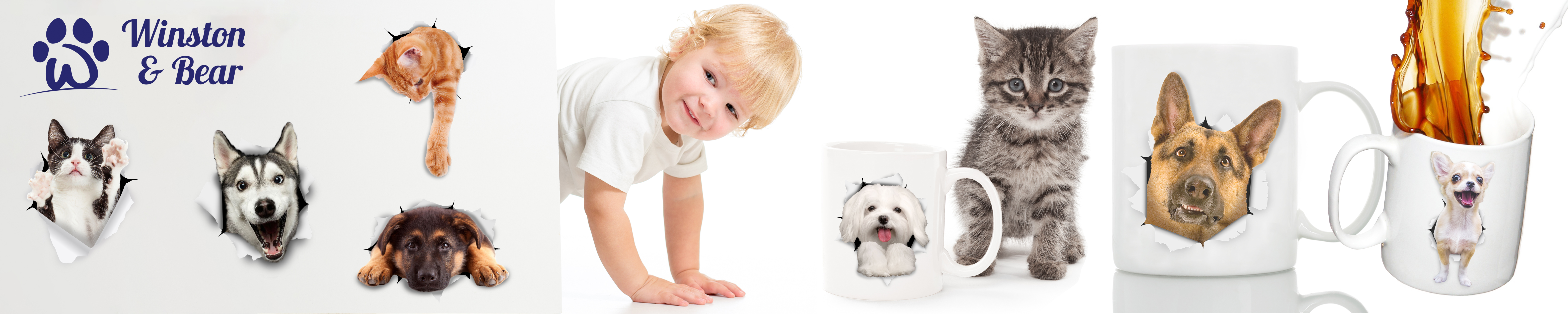 Amazon.com: Winston & Bear