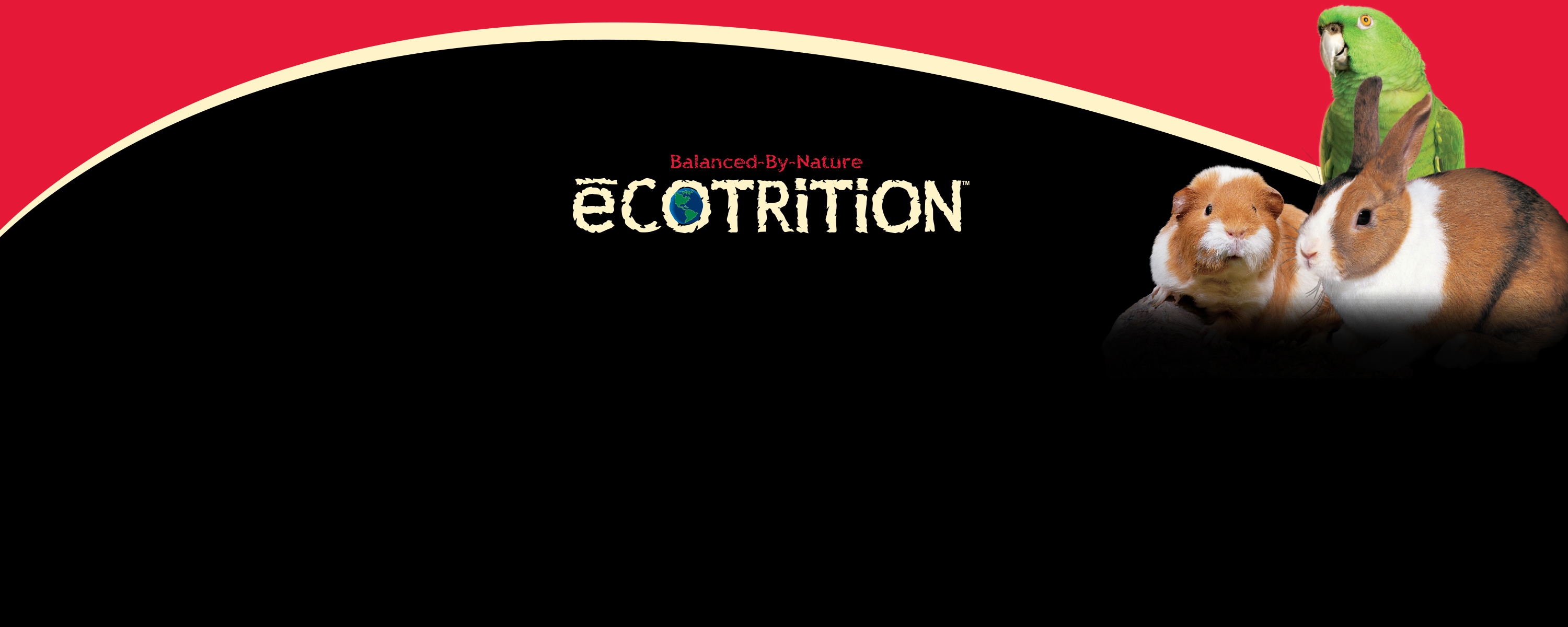 Amazon.com: Ecotrition: Parakeet Products