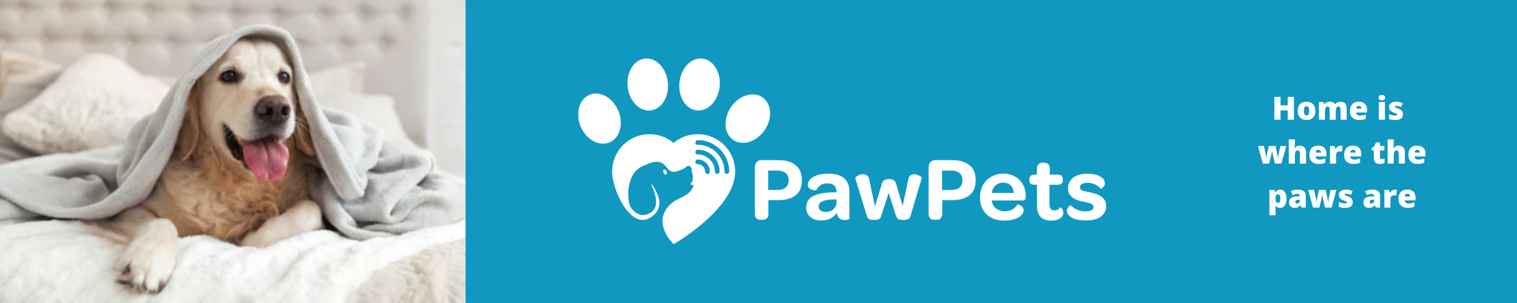 Amazon.com: PawPets