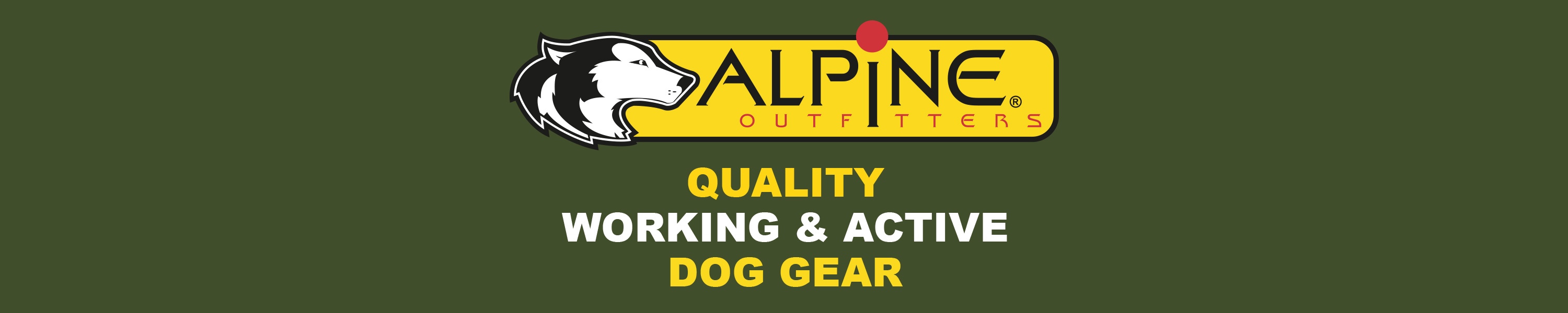 Amazon.com: Alpine Outfitters: COLLARS