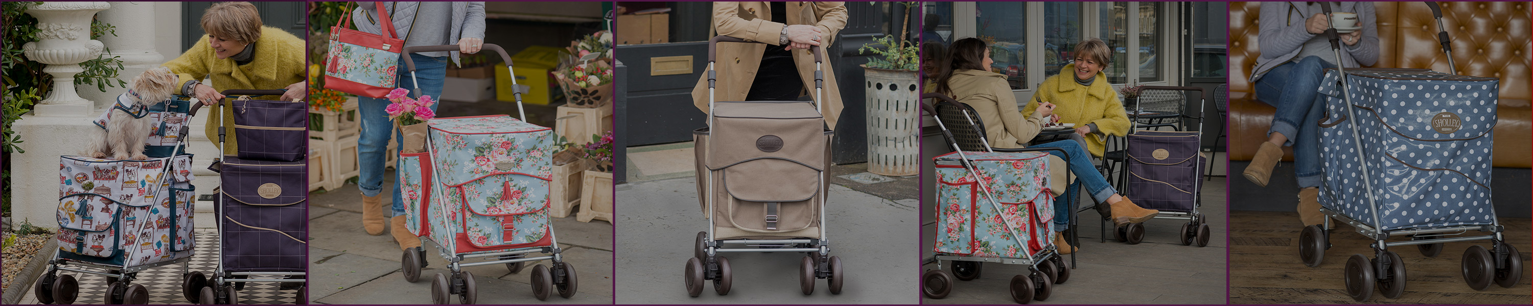 Amazon.fr: Sholley: Sholley