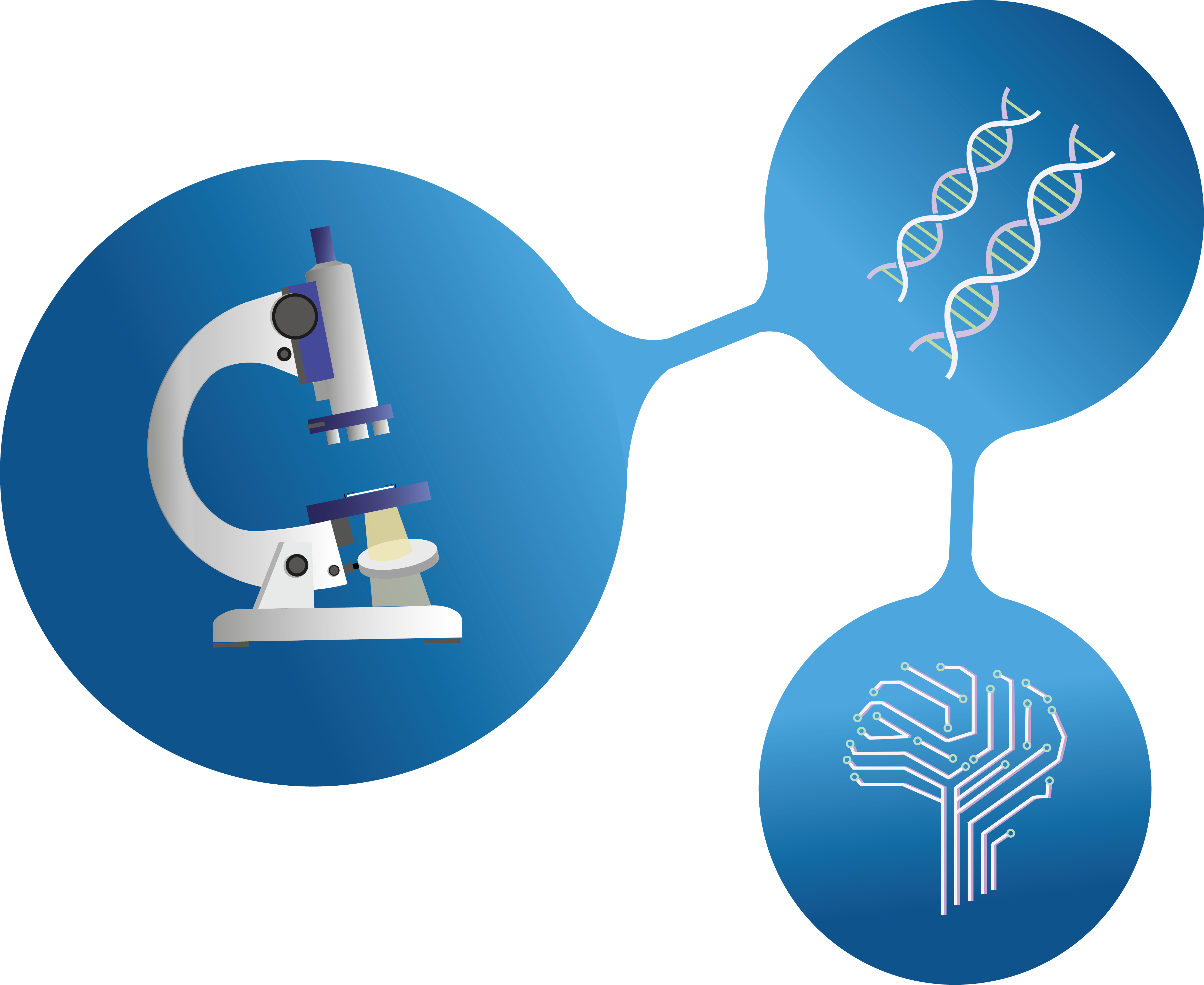 Amazon.co.uk: BioTech Life Sciences