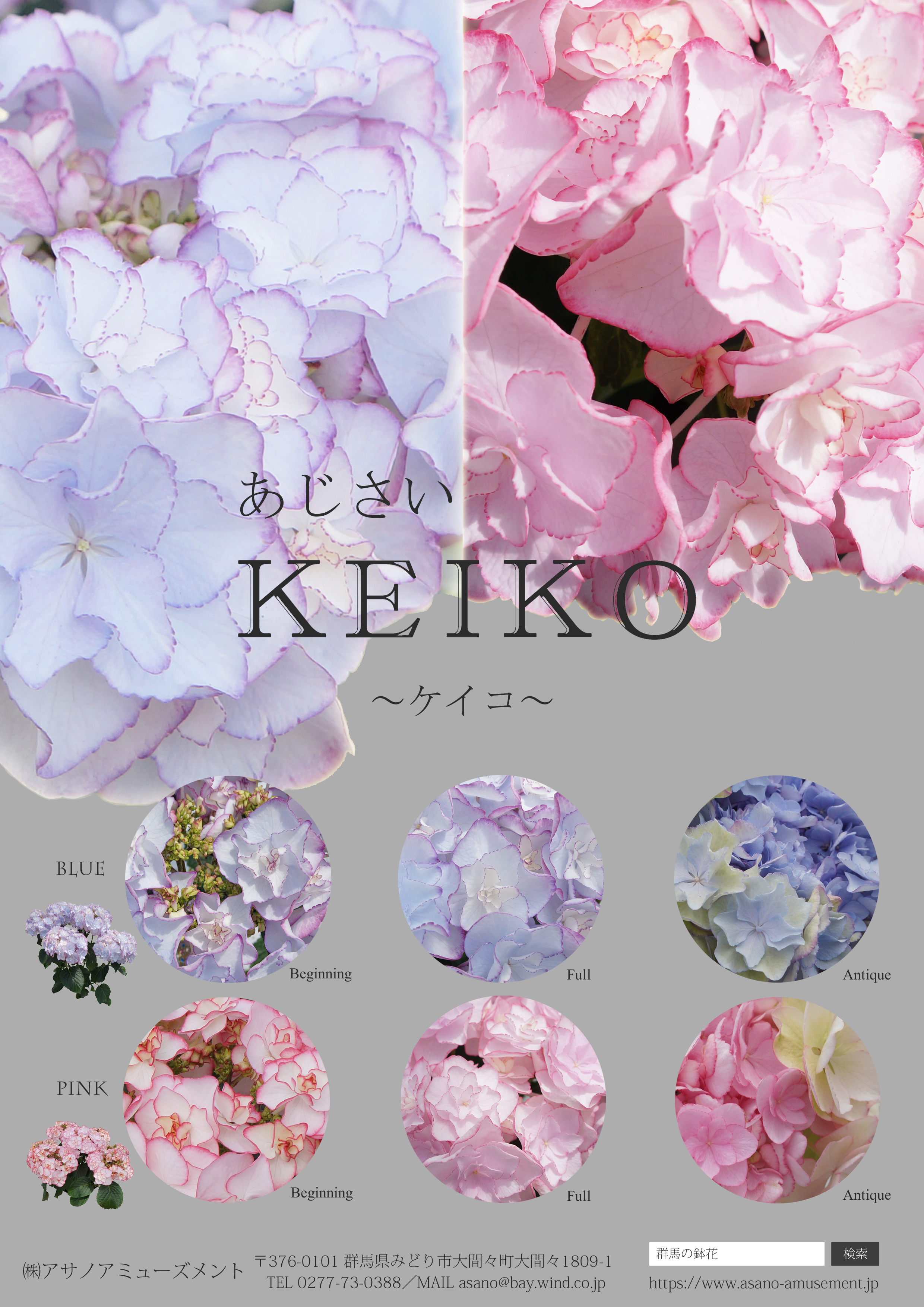 Amazon.co.jp: kaopuストア