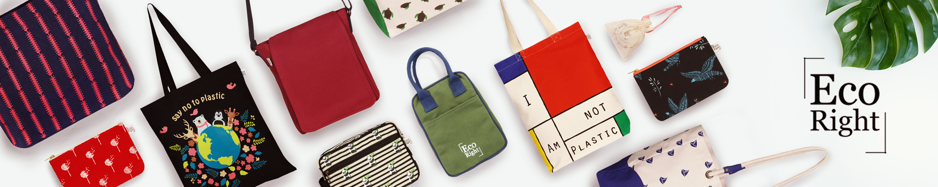 Amazon.in: EcoRight: Normal Tote Bags