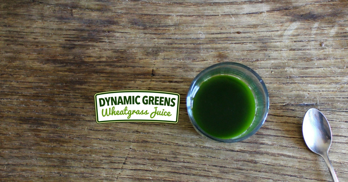 Amazon.ca: Dynamic Greens