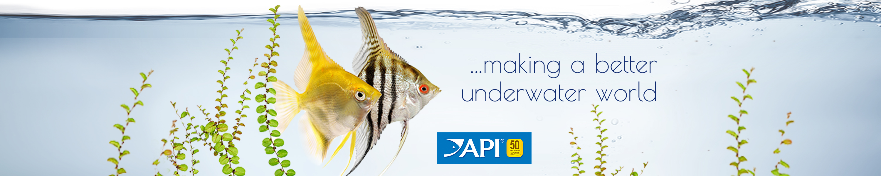 Amazon.ca: API: Fish Problem Solving