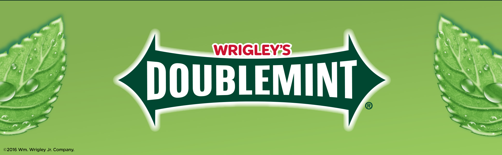 Amazon.ca: Mars Wrigley: Wrigley's Doublemint