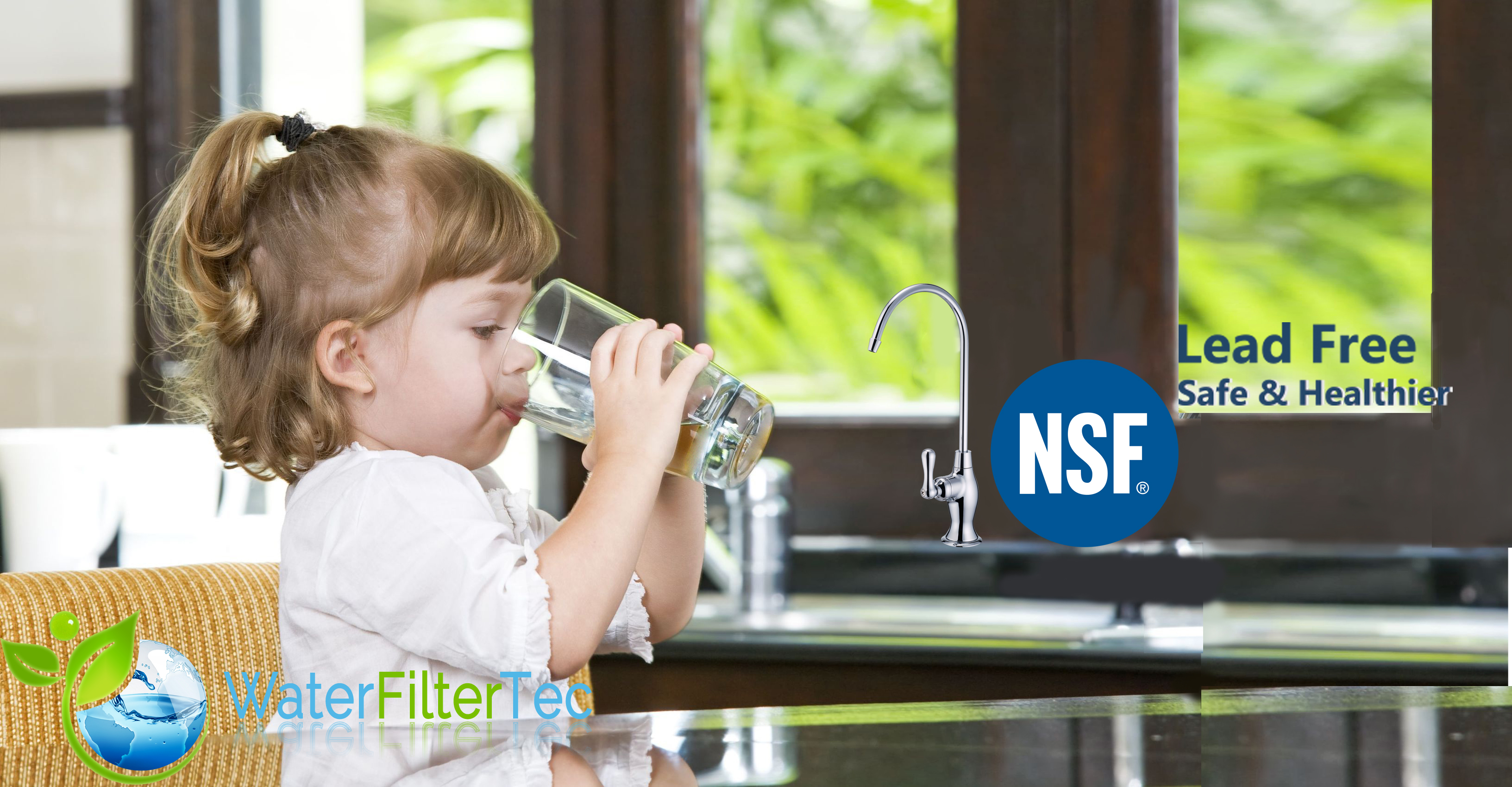 Amazon.com: Water Filter Tec