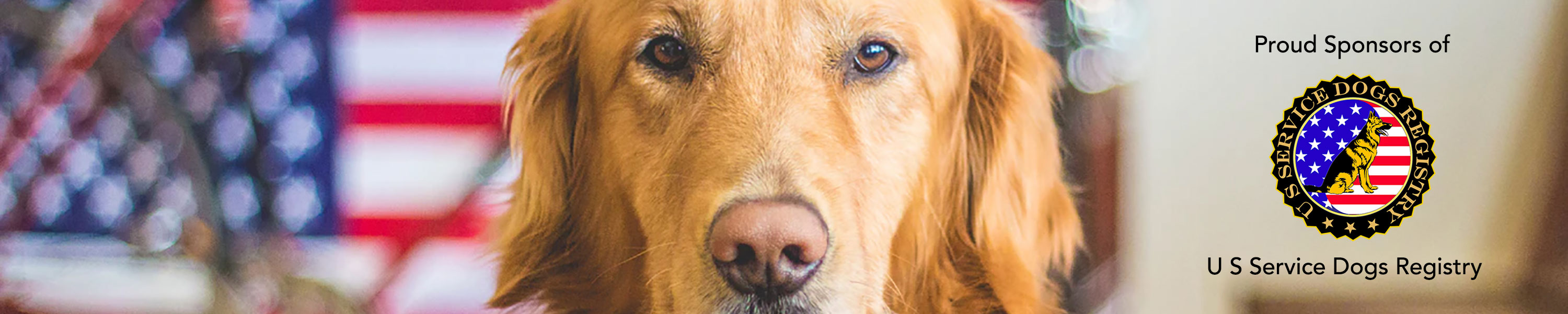 Amazon.com: Just 4 Paws