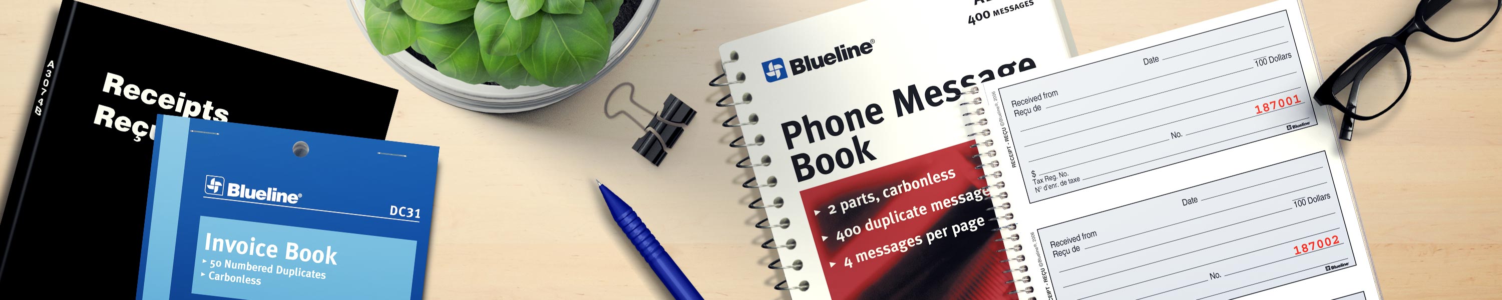 Amazon.com: Blueline: Business Forms