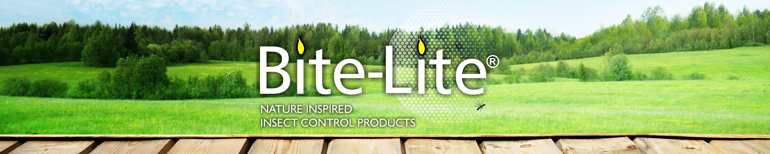 Amazon.com: Bite-Lite